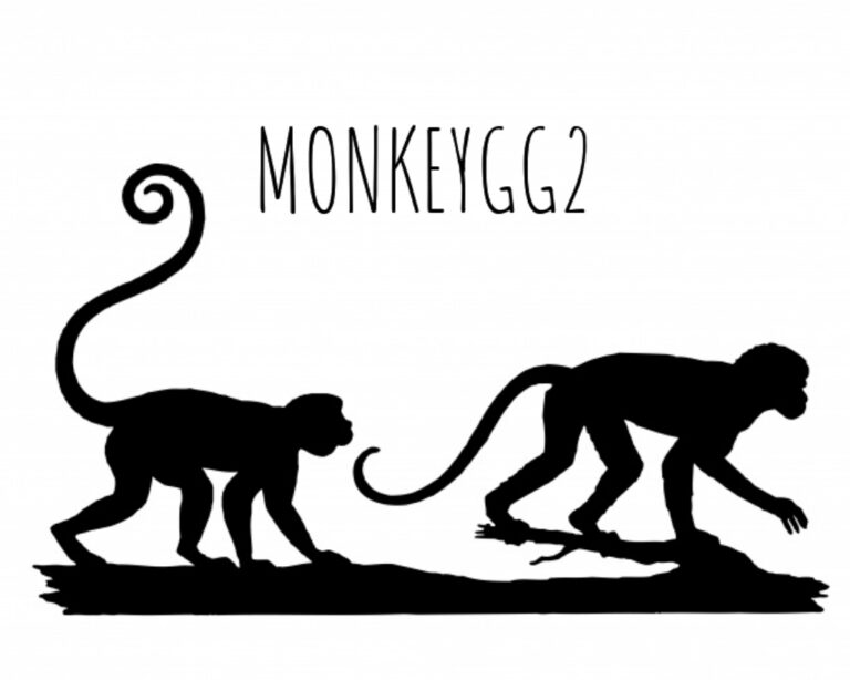 Monkeygg2: The Ultimate Feature-Rich Gaming Platform